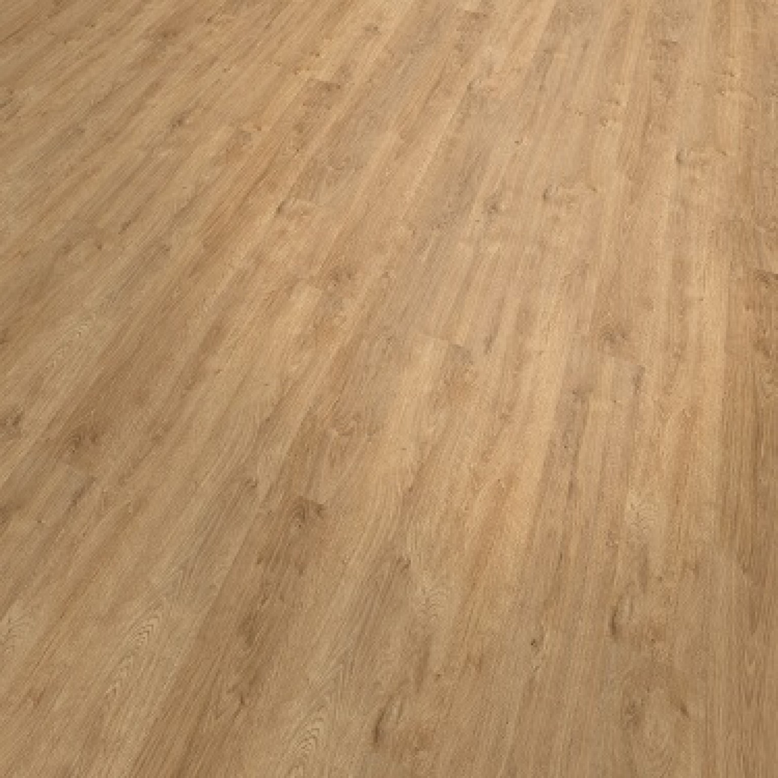 LIGHT CLASSIC OAK 8008 - parketarstvo.info